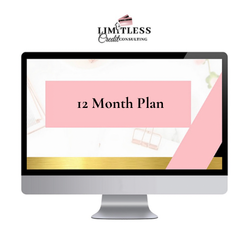 12 Month Plan – Limitless Credit Consulting LLC